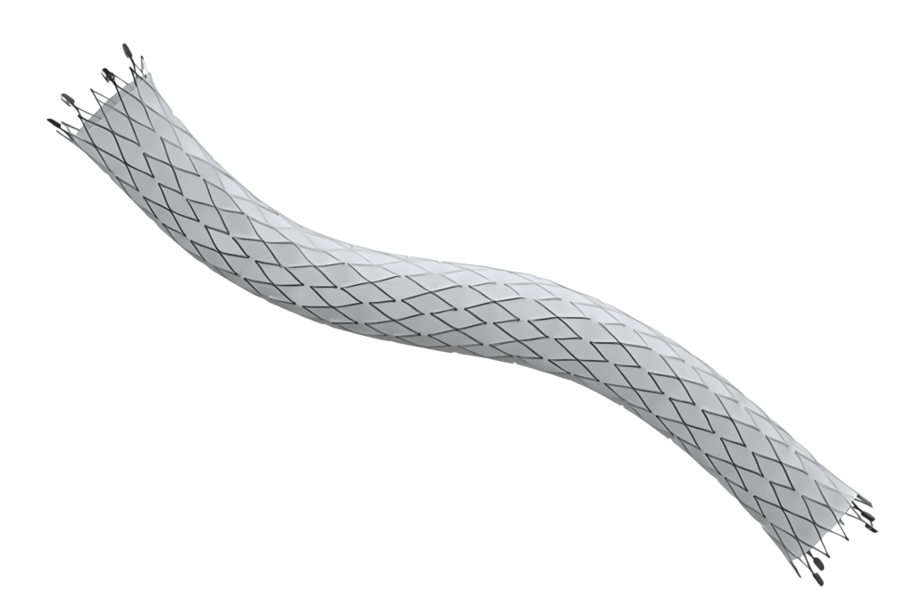 Fluency – Stent revestido vascular – Wave Medical
