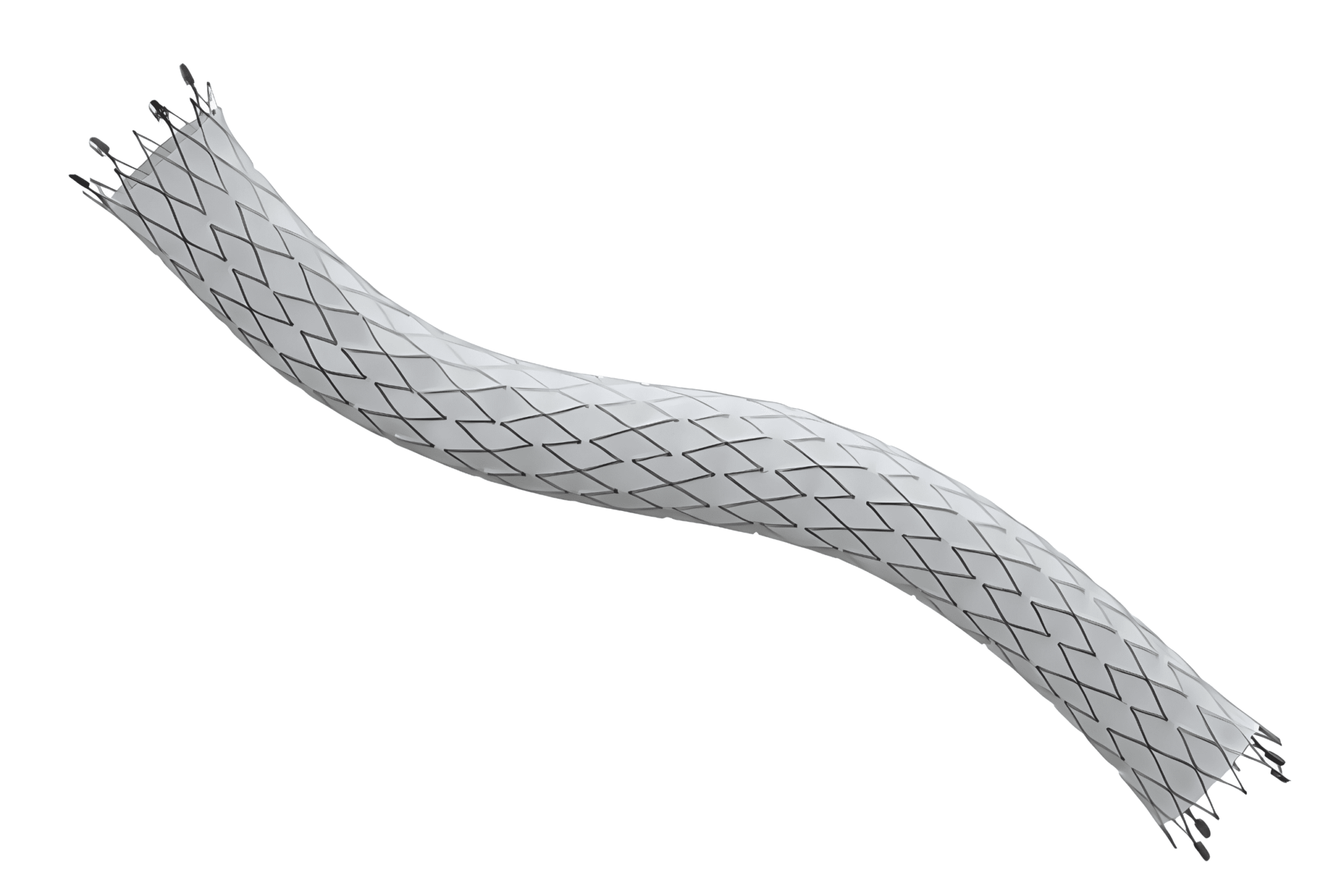Fluency – Stent revestido vascular – Wave Medical